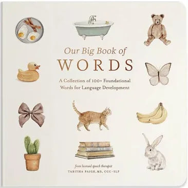 Our Big Book of Words – The Children's Hour Bookstore