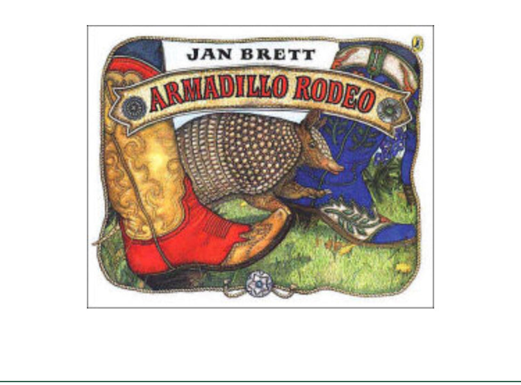 Armadillo Rodeo – The Children's Hour Bookstore