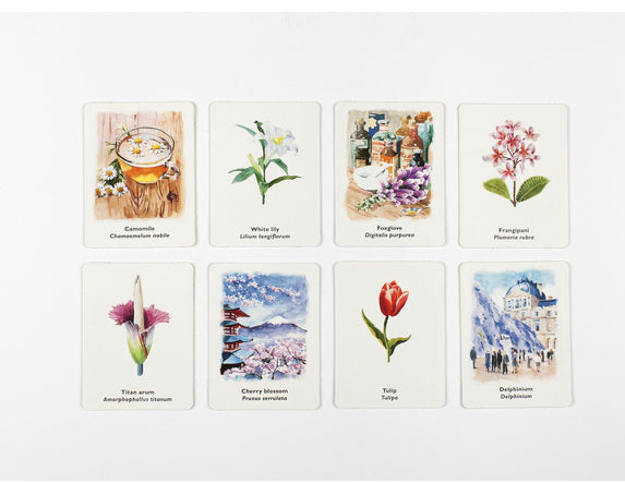 Pick A Flower A Memory Game – The Children's Hour Bookstore