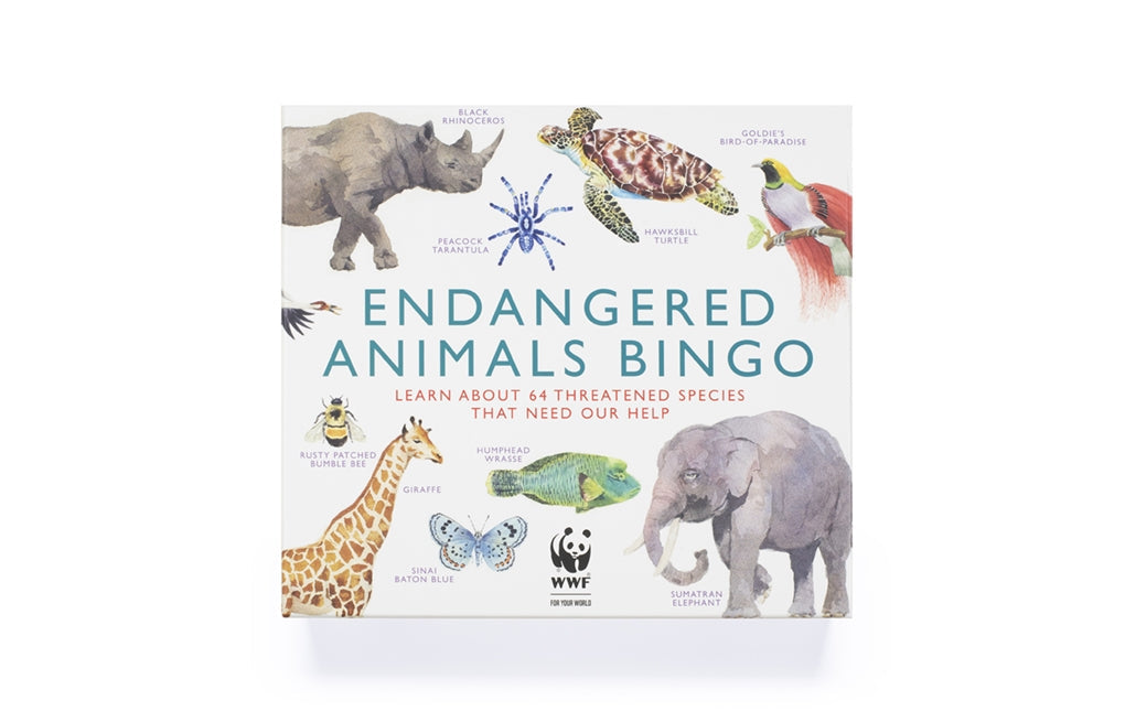 Endangered Animals Bingo – The Children's Hour Bookstore