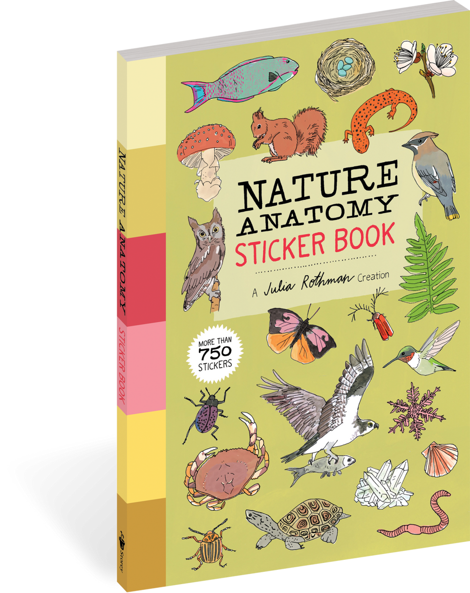 Nature Anatomy Sticker Book – The Children's Hour Bookstore