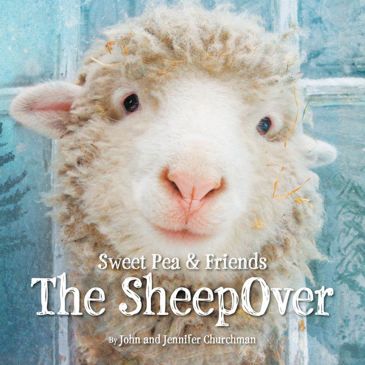The Sheepover BoardBook – The Children's Hour Bookstore